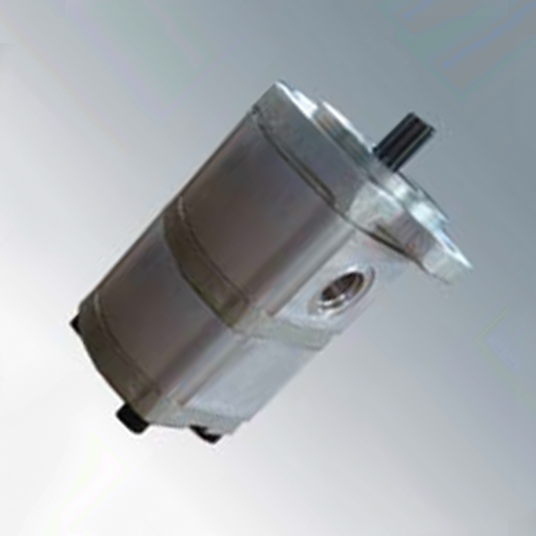 CB2ASL-G Two-way Flow Gear Pump - Easthydraulics