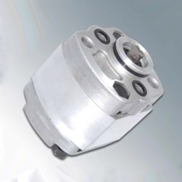 CBKS1 Reversible Gear Pump - Easthydraulics