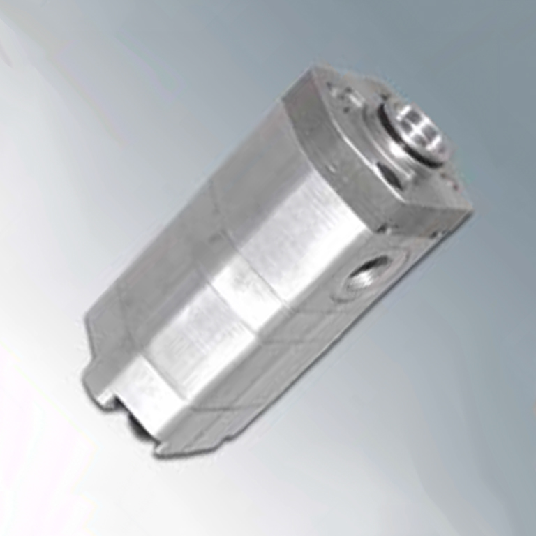 CBMSL2 Two-way Flow Gear Pump - Easthydraulics