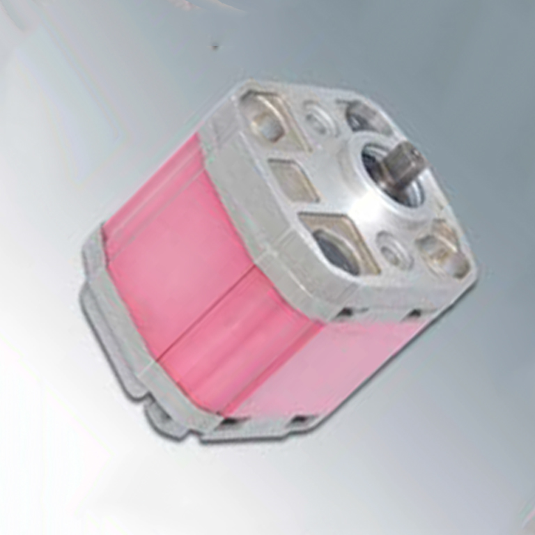 CBTS Reversible Gear Pump - Easthydraulics